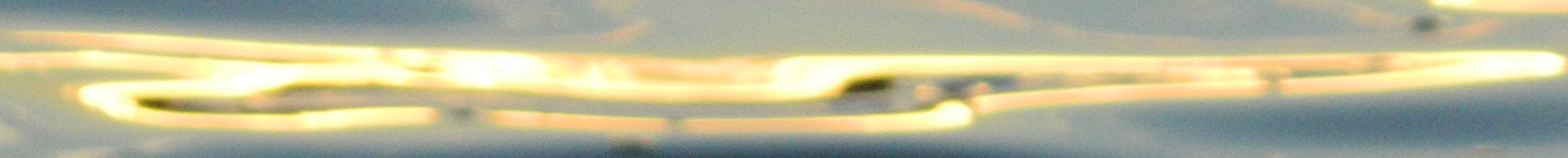 Who Was Rene Caisse? - Blue Moon Herbs / Rene Caisse Tea